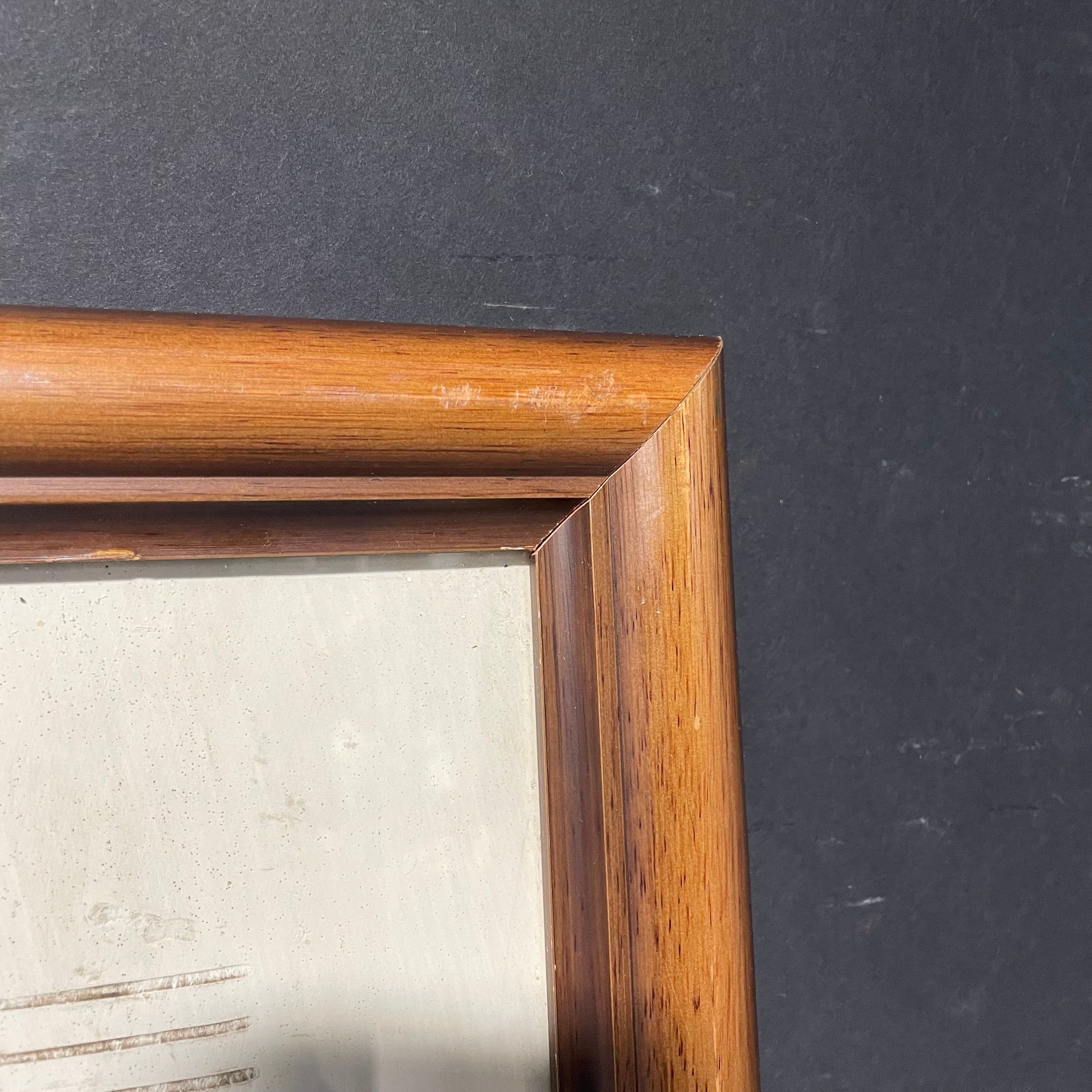 Amen Wardy "Le Douc" Audebert Monkeys Hand Colored Watercolor Print 23 ...