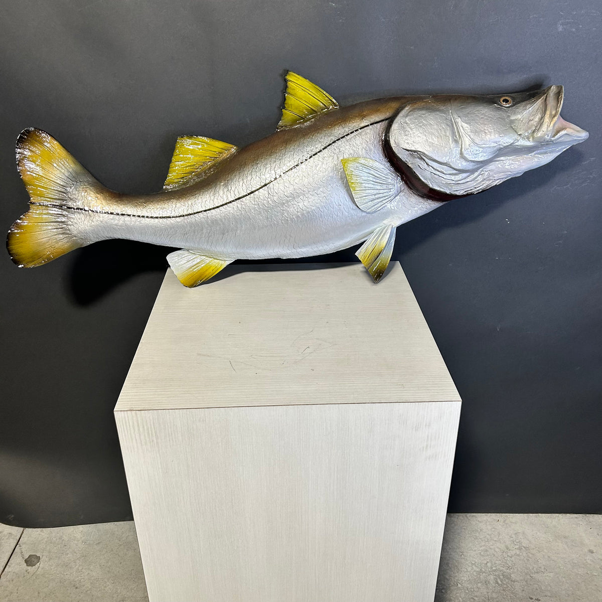 Snook Fish Mount 42" Half Mount — Habitat Roaring Fork